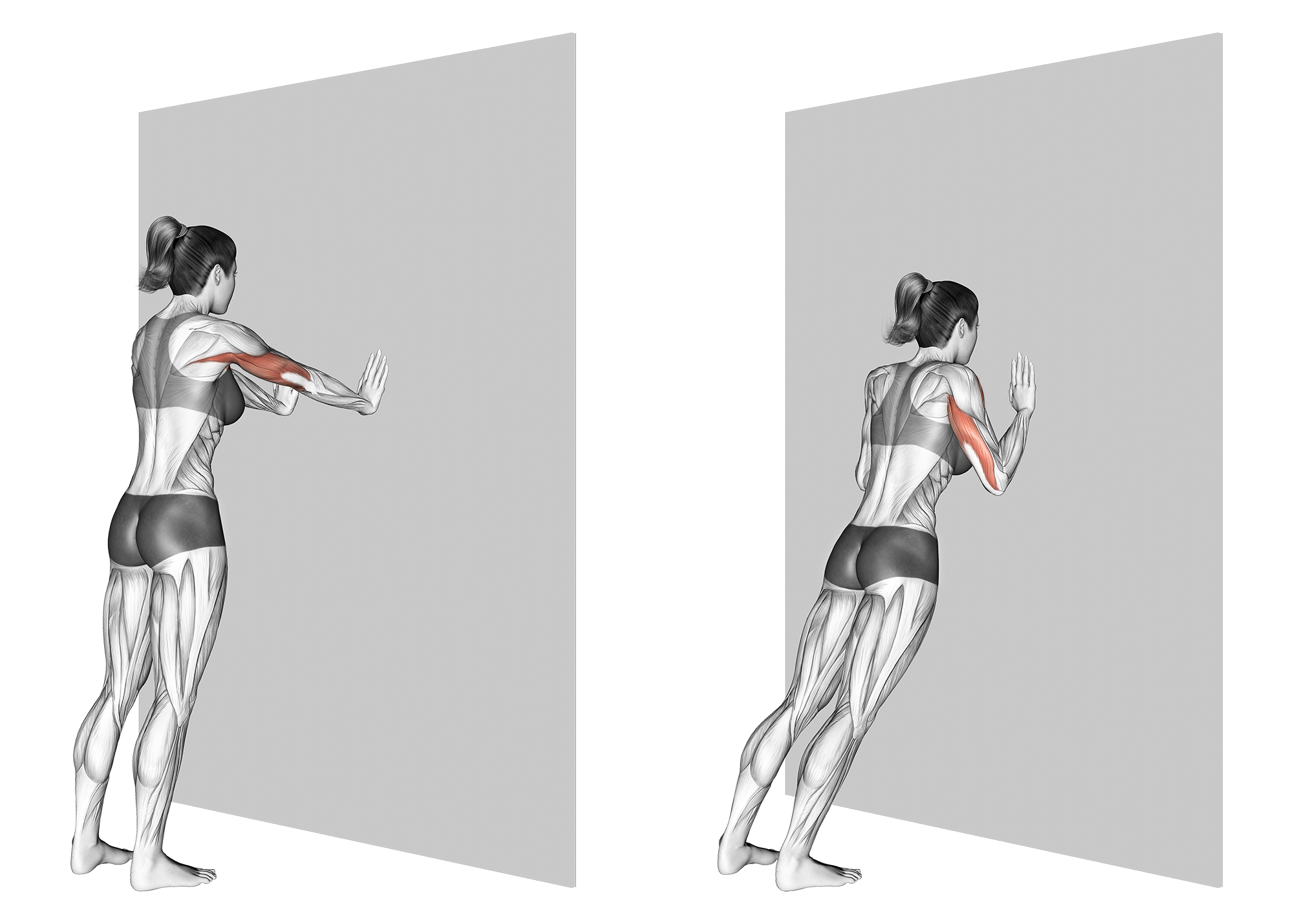 Wall Push Up: Benefits, Muscles Worked, and More - Inspire US