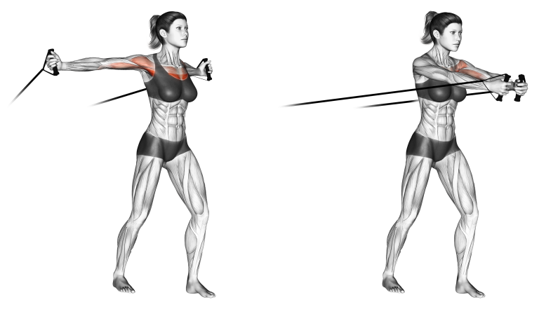 6 Best Cable Fly Alternatives (with Pictures!) - Inspire US