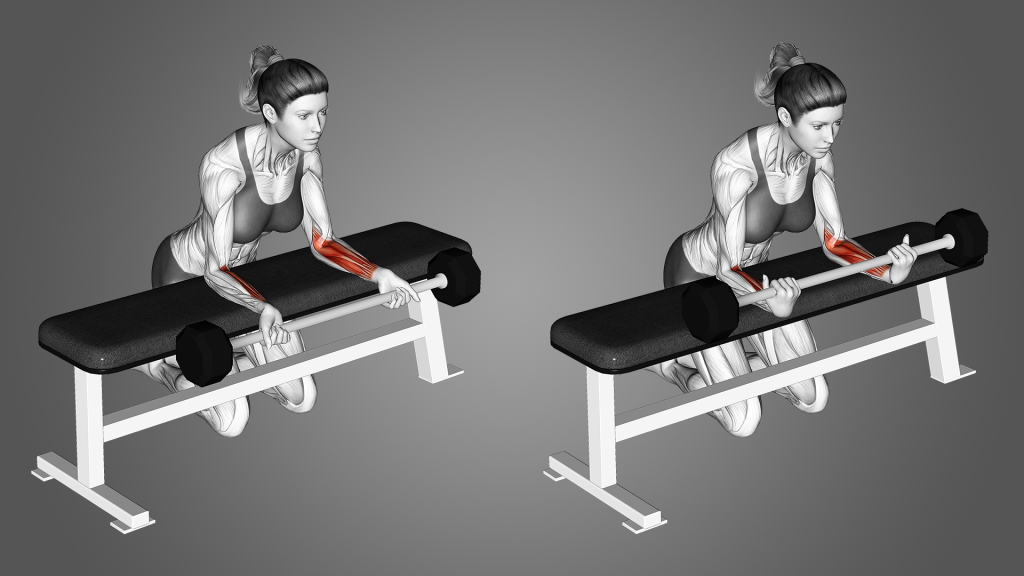 Palms Down Wrist Curl Over A Bench