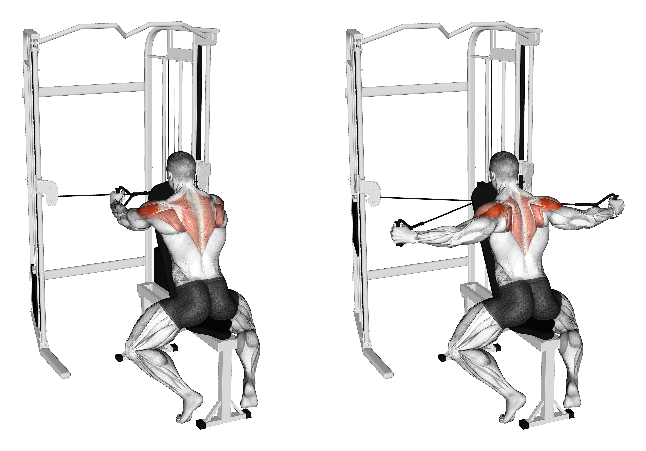 6 Best Cable Machine Shoulder Exercises (with Pictures!) - Inspire US