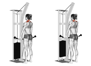 6 Best Cable Back Exercises (with Pictures!) - Inspire US