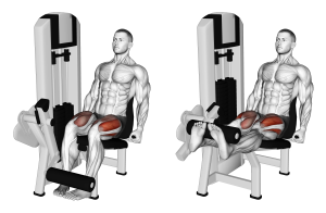 7 Best Vastus Lateralis Exercises (with Pictures!) - Inspire US