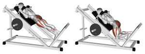 Reverse Hack Squat Machine: Benefits, Muscles Worked, and More - Inspire US