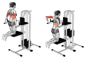 7 Best Dip Variations (with Pictures!) - Inspire US