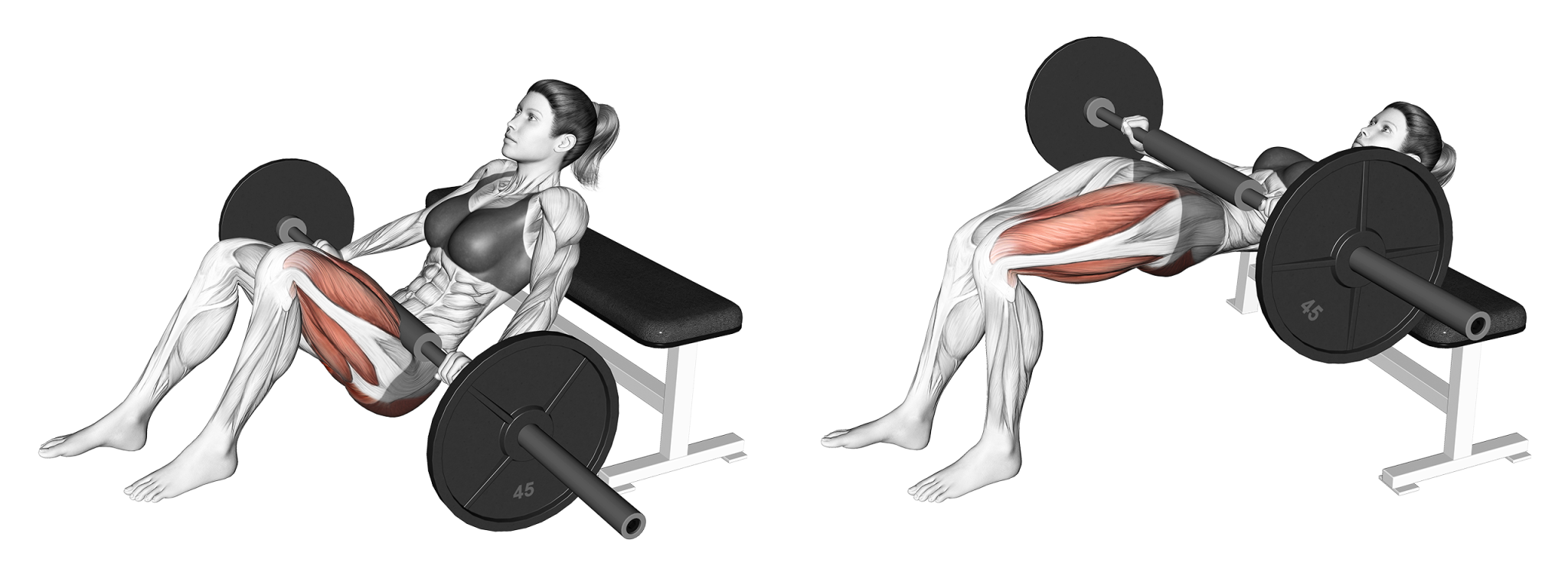 7 Best Hip Thrust Variations (with Pictures!) - Inspire US