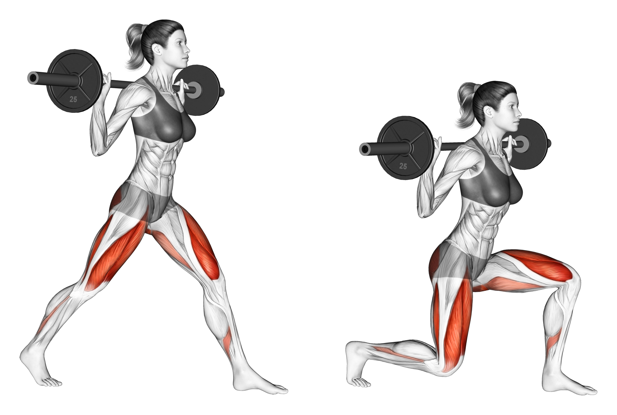 8 Best Types of Squat Variations (with Pictures!) - Inspire US