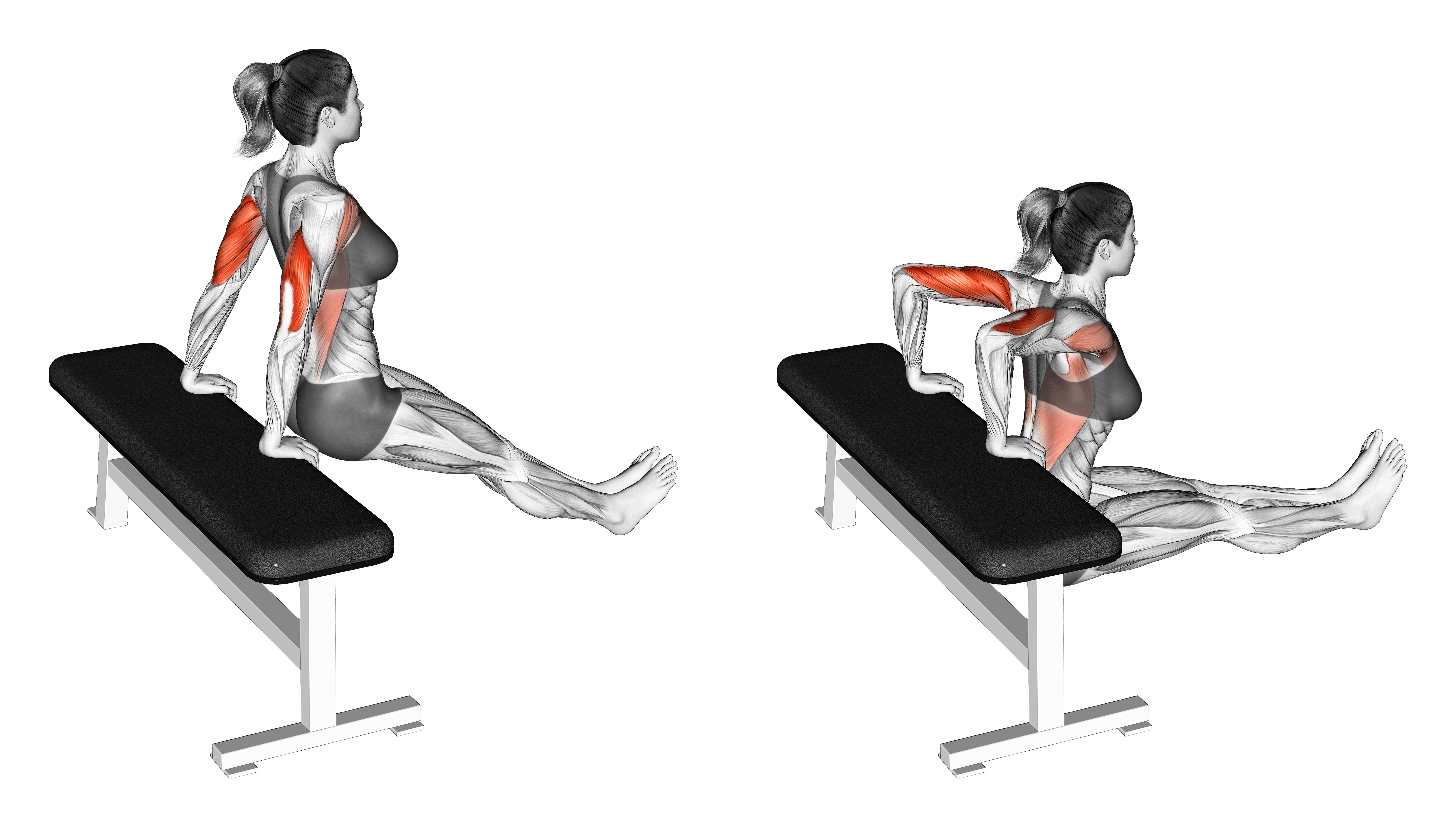 7 Best Dip Variations (with Pictures!) - Inspire US