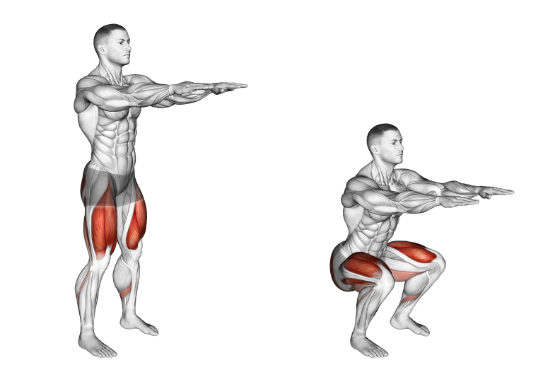 7 Best Bodyweight Squat Variations (with Pictures!) - Inspire US