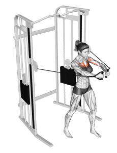 7 Best Cable Flyes Variations (with Pictures!) - Inspire US