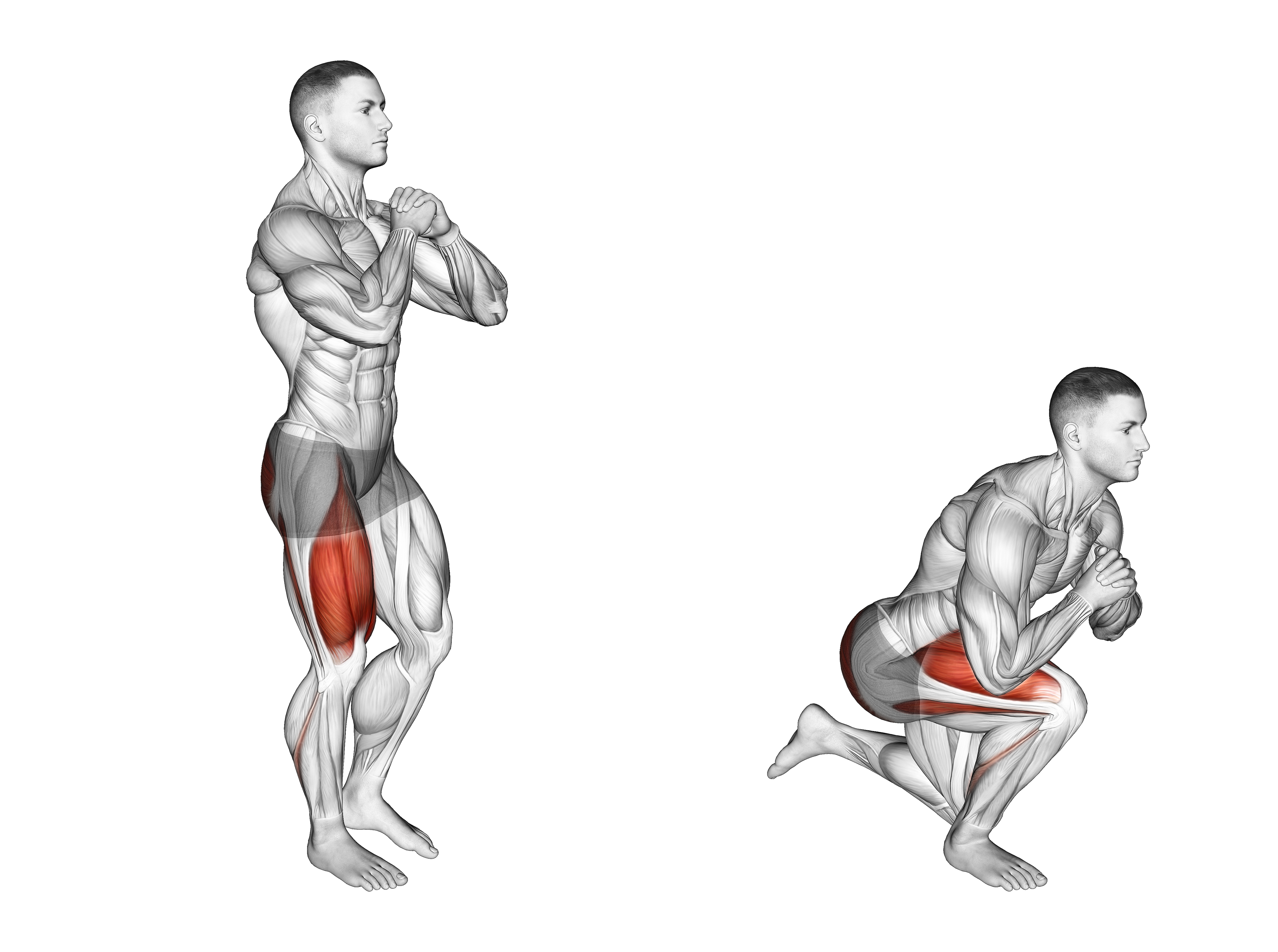 7 Best Single Leg Squat Variations (with Pictures!) - Inspire US