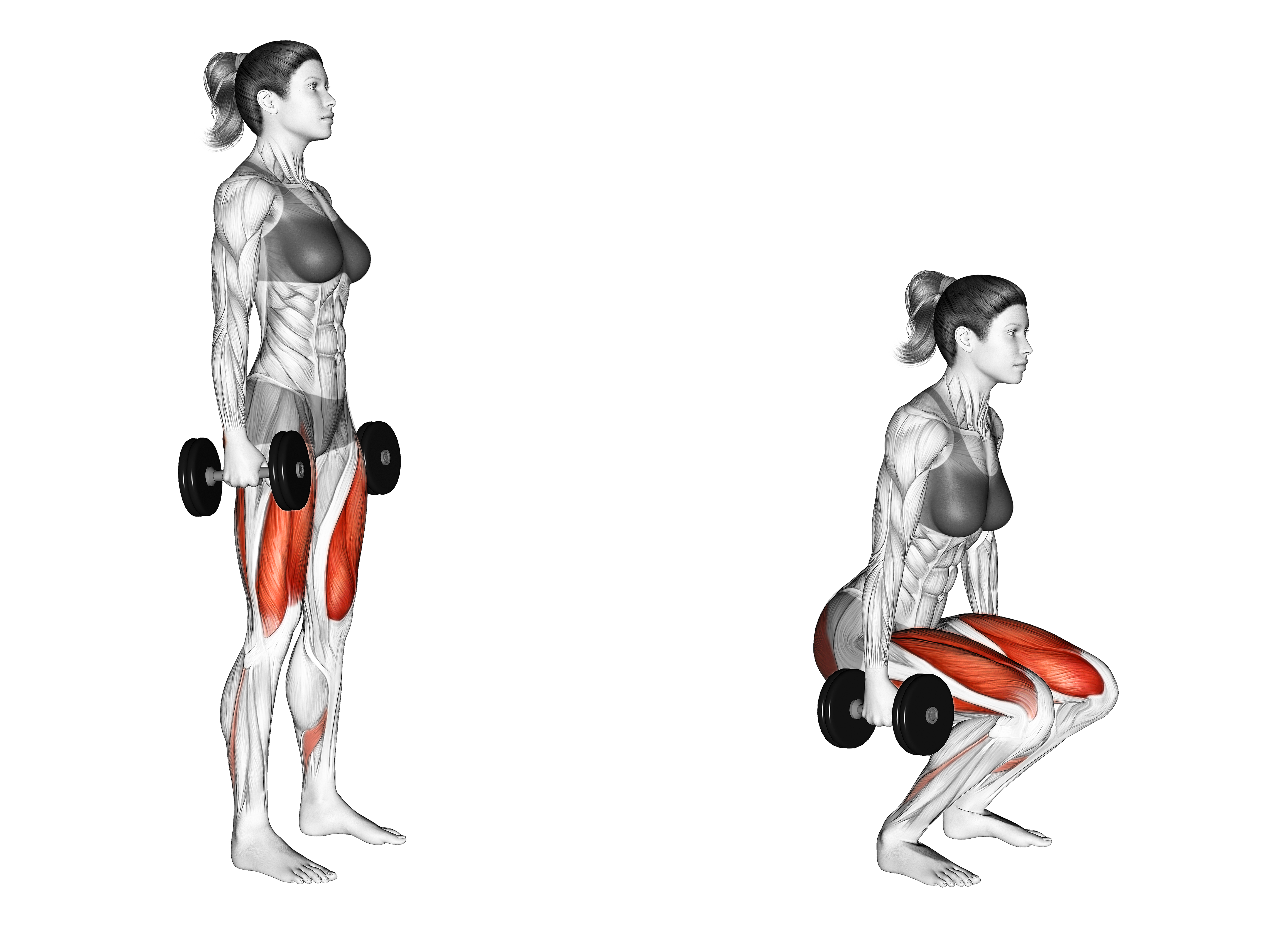 6 Best Compound Dumbbell Exercises (with Pictures!) - Inspire US