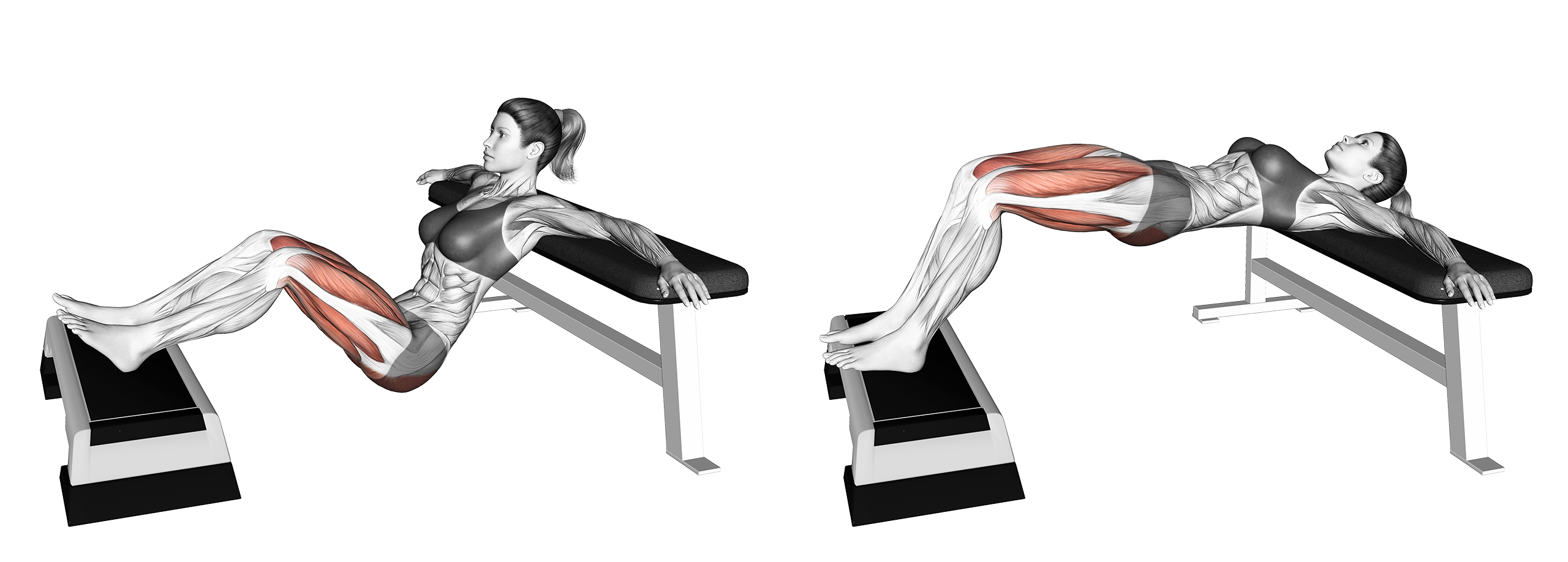 7 Best Hip Thrust Variations (with Pictures!) - Inspire US