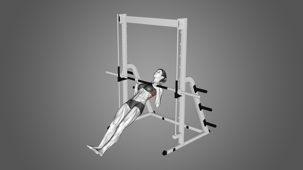 Inverted Row Muscles