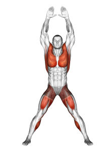 7 Best Jumping Jack Variations (with Pictures!) - Inspire US