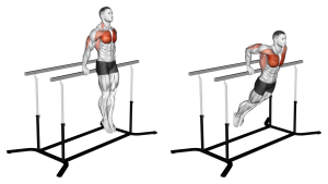 7 Best Dip Variations (with Pictures!) - Inspire US