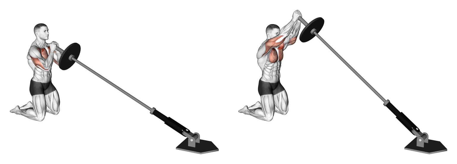 7 Best Shoulder Press Variations (with Pictures!) - Inspire US