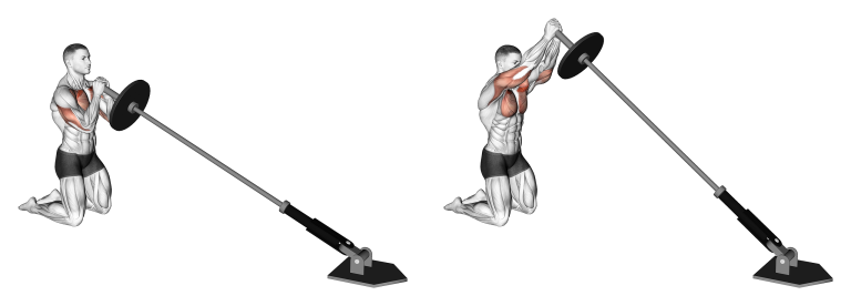 7 Best Shoulder Press Variations (with Pictures!) - Inspire US