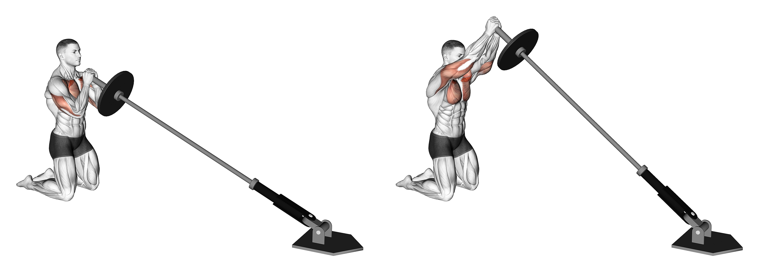 7 Best Shoulder Press Variations (with Pictures!) - Inspire US
