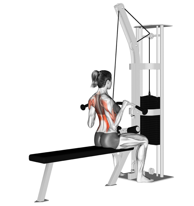 7 Best Lat Pulldown Variations (with Pictures!) - Inspire US