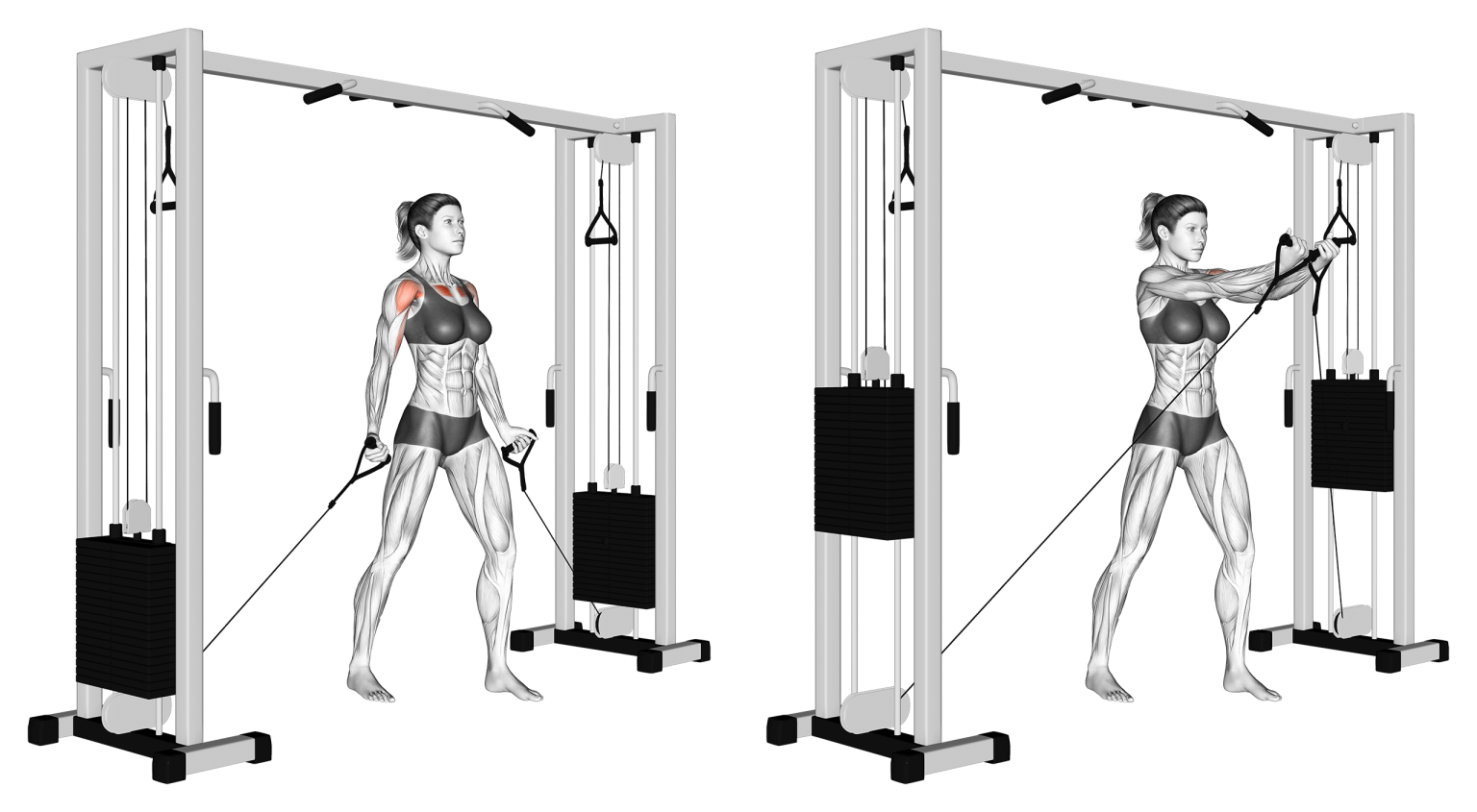 Low to High Cable Chest Flys: Muscles Worked, and More - Inspire US