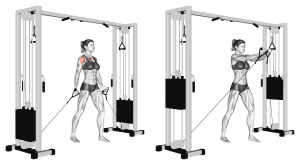 7 Best Cable Flyes Variations (with Pictures!) - Inspire US