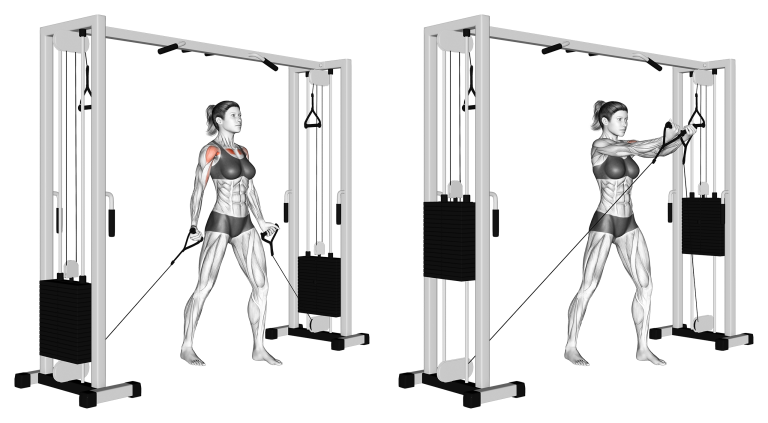 Low to High Cable Chest Flys: Muscles Worked, and More - Inspire US