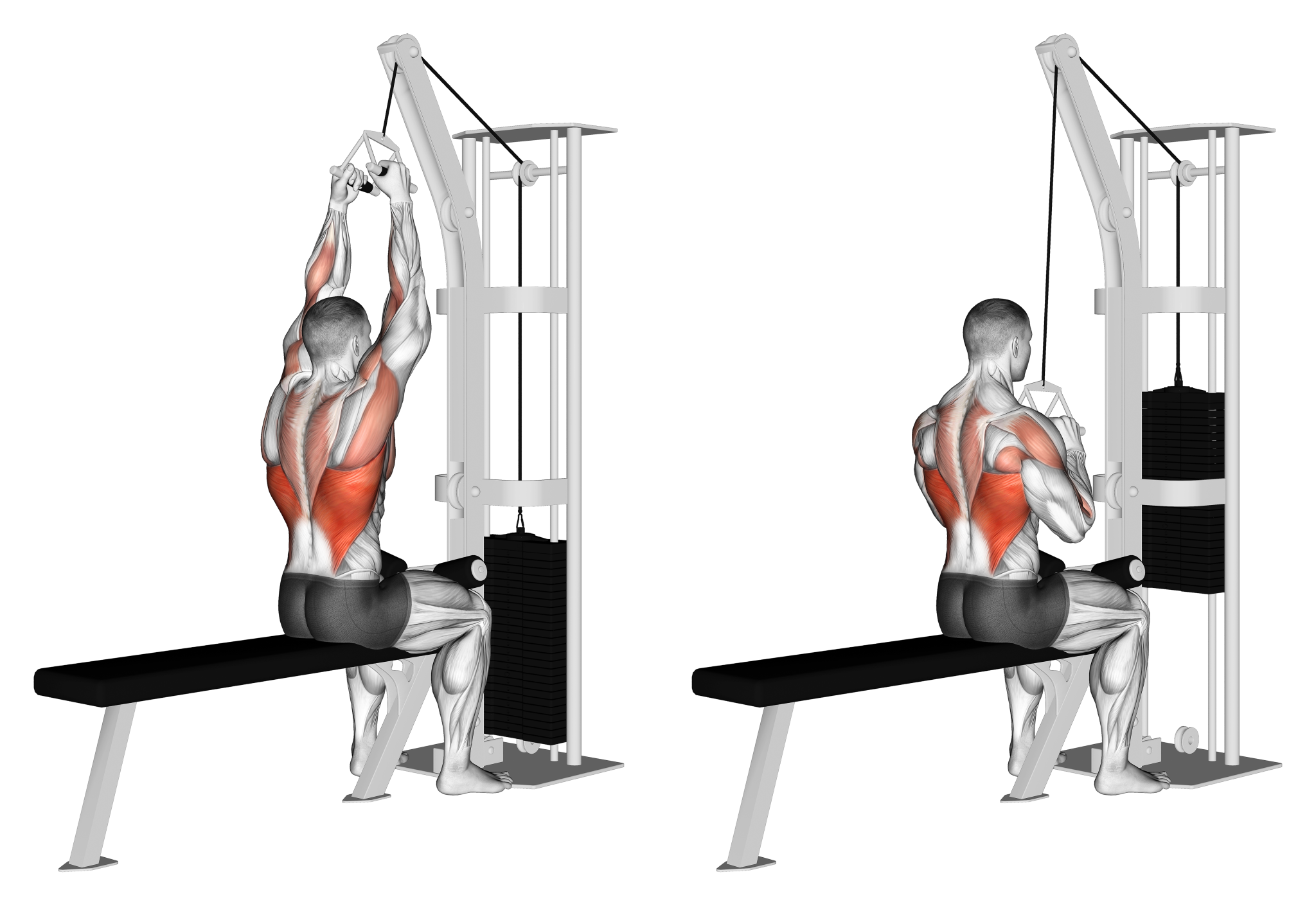 7 Best Lat Pulldown Variations (with Pictures!) - Inspire US