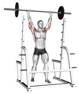7 Best Shoulder Press Variations (with Pictures!) - Inspire US