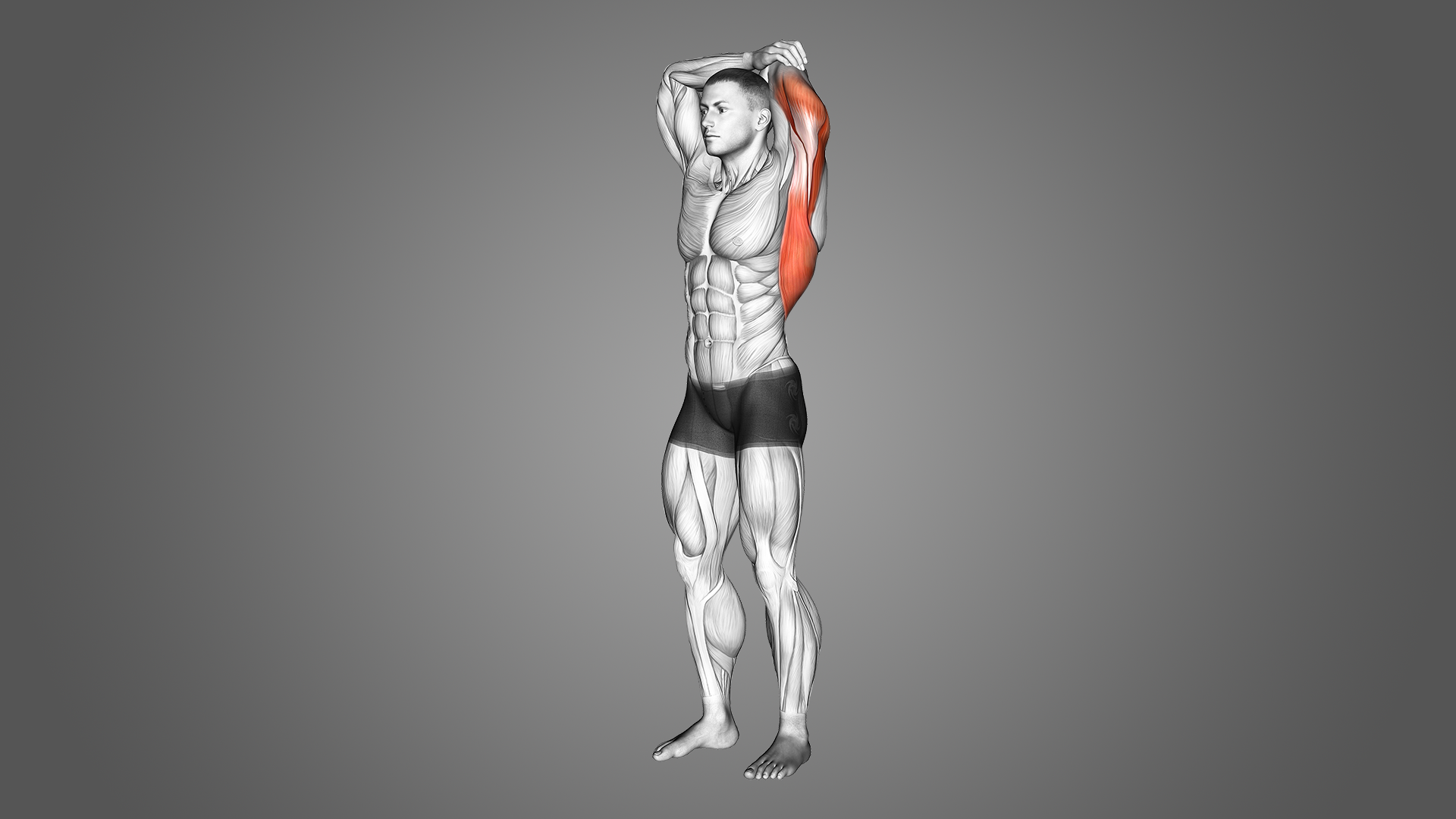 Overhead Triceps Stretch