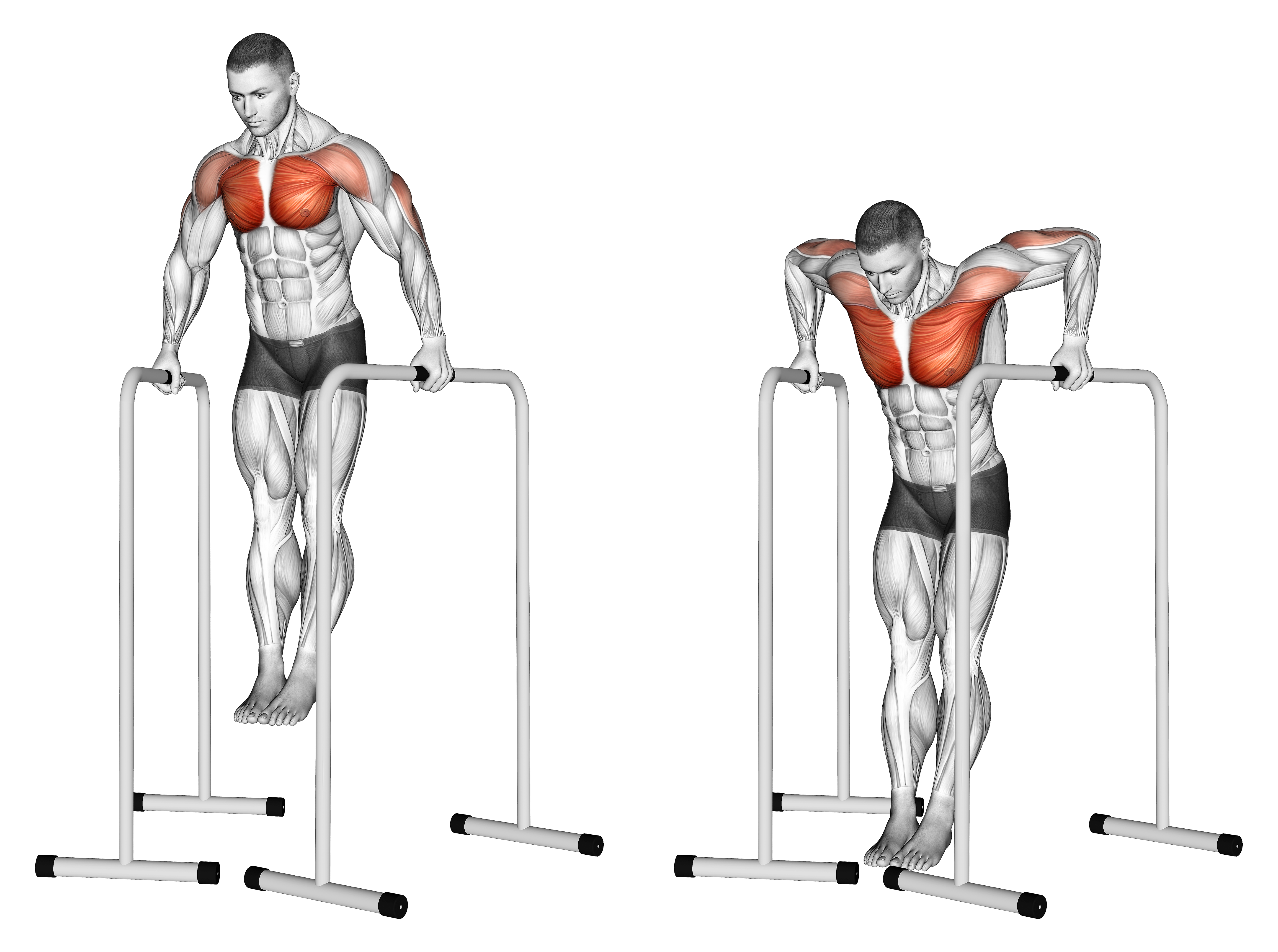 7 Best Dip Variations (with Pictures!) - Inspire US