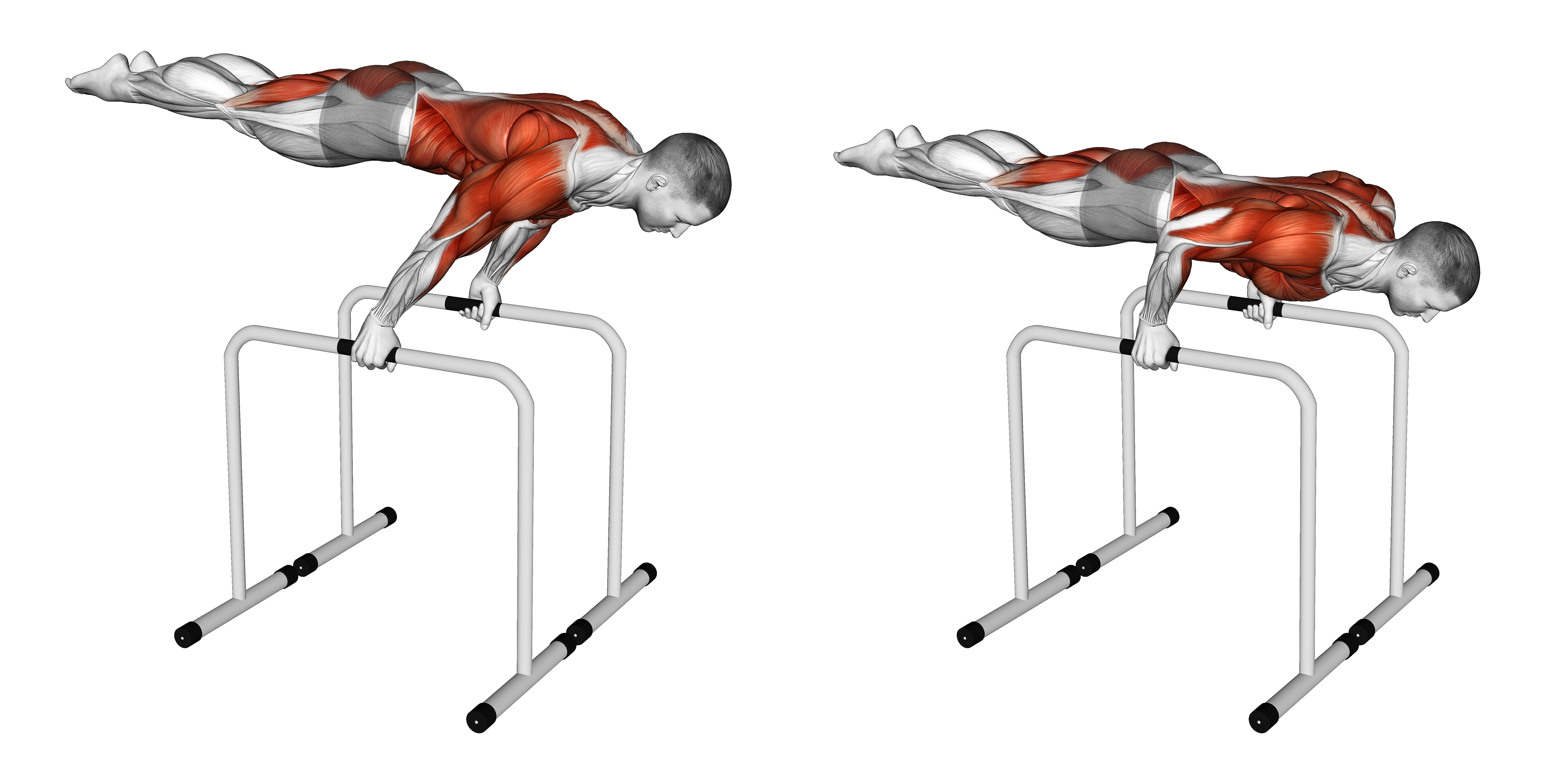 7 Best Dip Variations (with Pictures!) - Inspire US