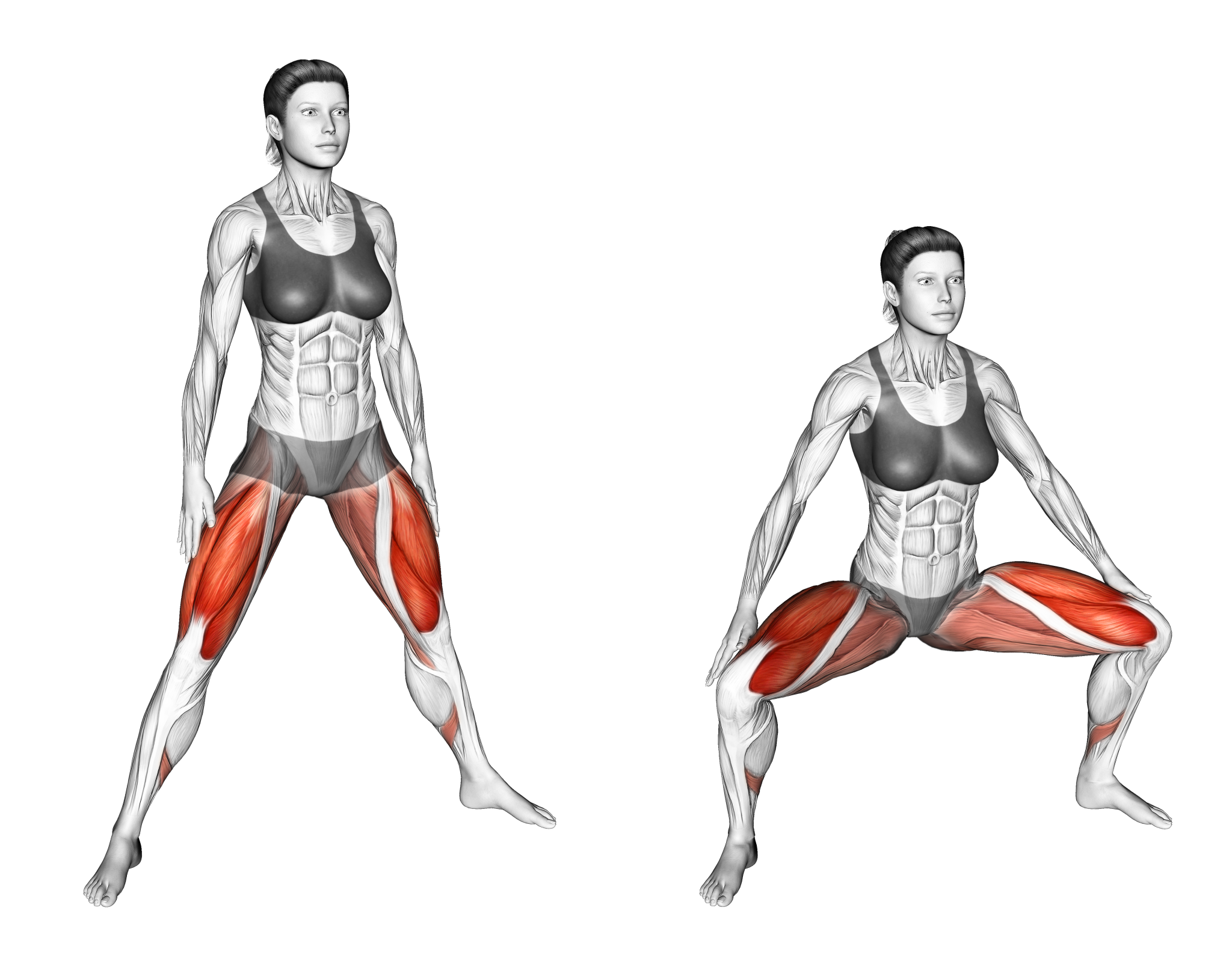 7 Best Bodyweight Squat Variations (with Pictures!) - Inspire US