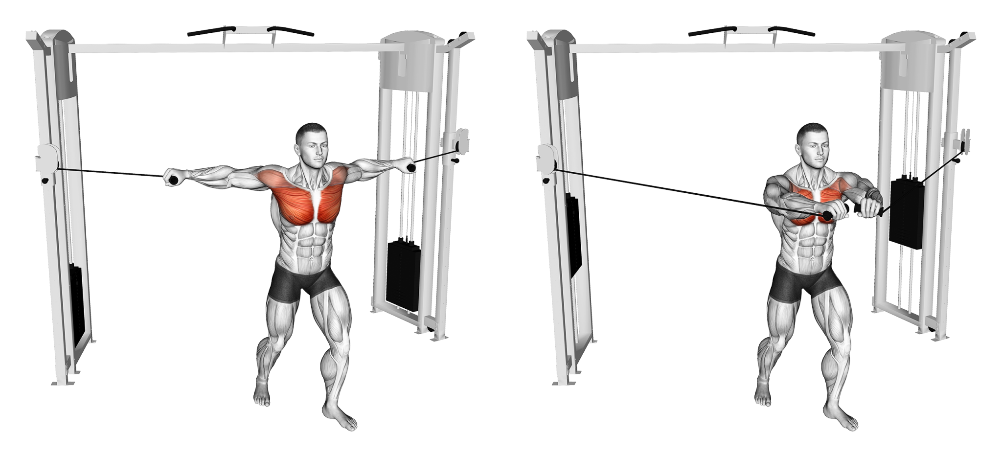 7 Best Cable Flyes Variations (with Pictures!) - Inspire US