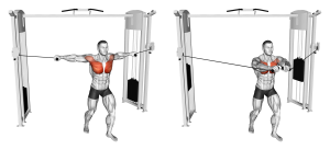 7 Best Cable Flyes Variations (with Pictures!) - Inspire US