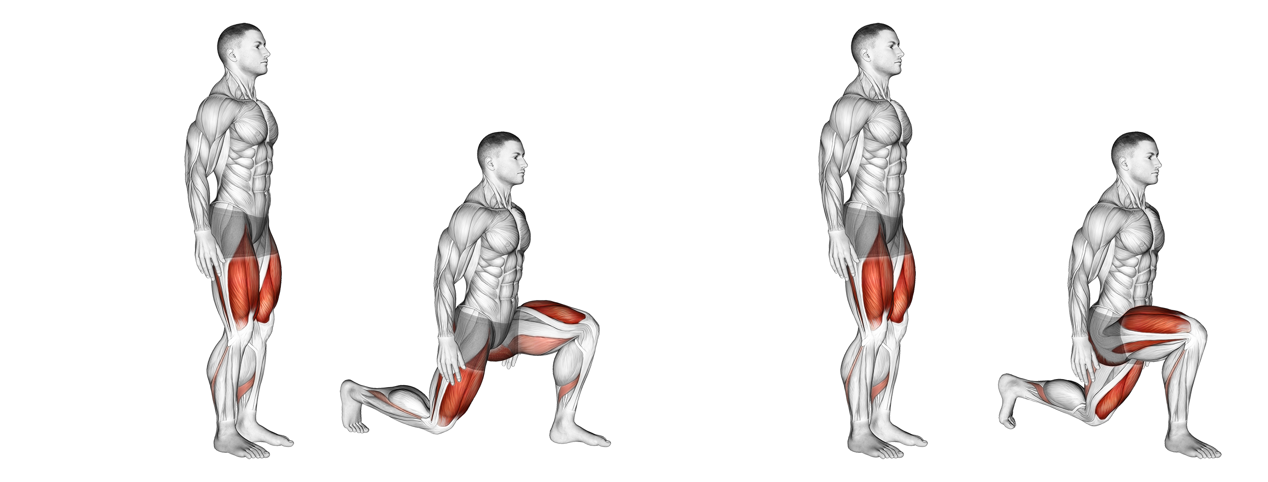 7 Best Types of Lunge Variations (with Pictures!) - Inspire US