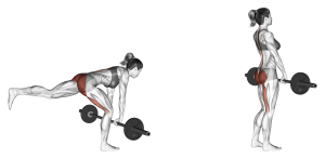 8 Best Types of Deadlift Variations (with Pictures!) - Inspire US