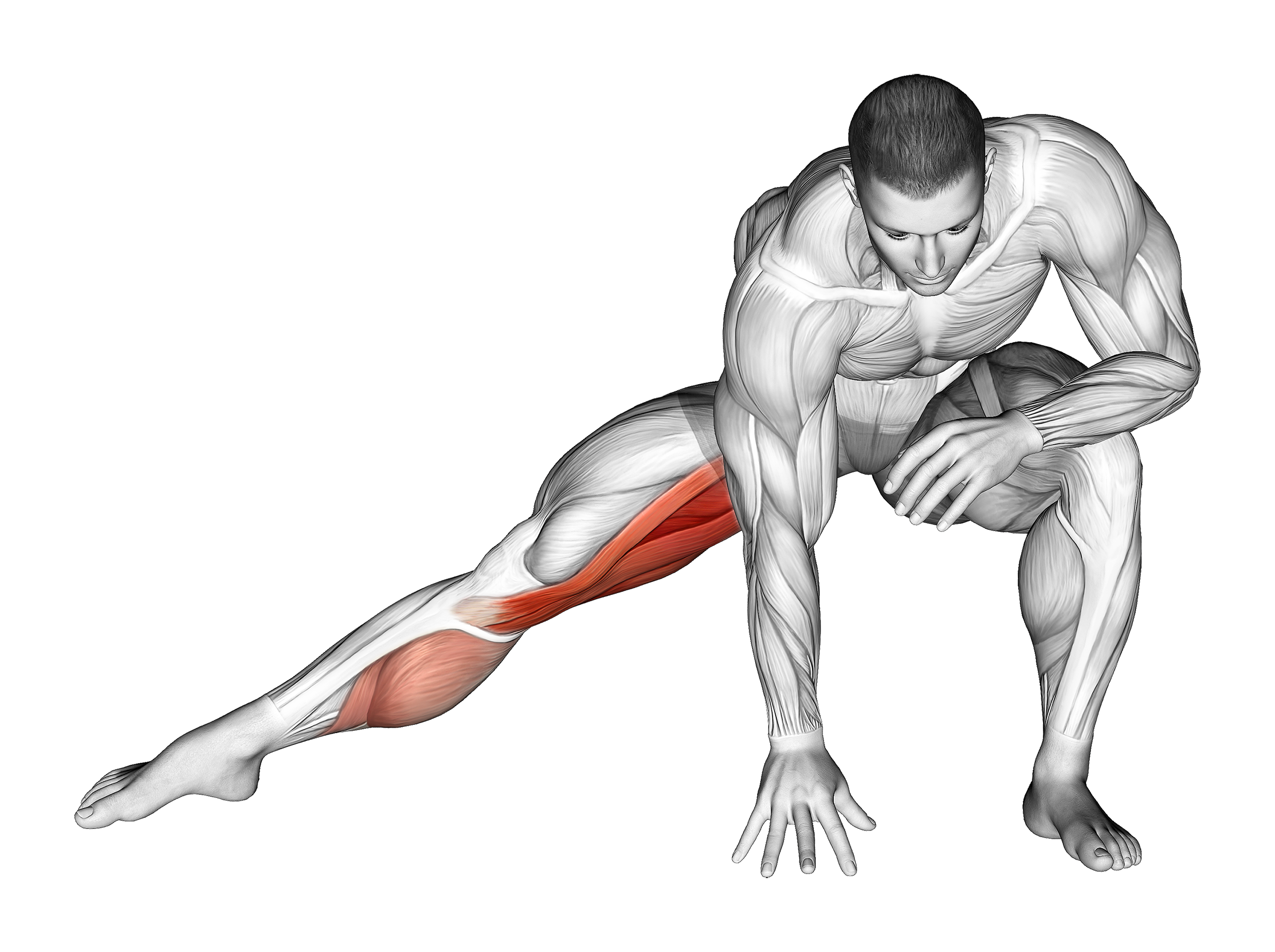 Standing Adductor Stretch: Benefits, Muscles Worked, and More - Inspire US