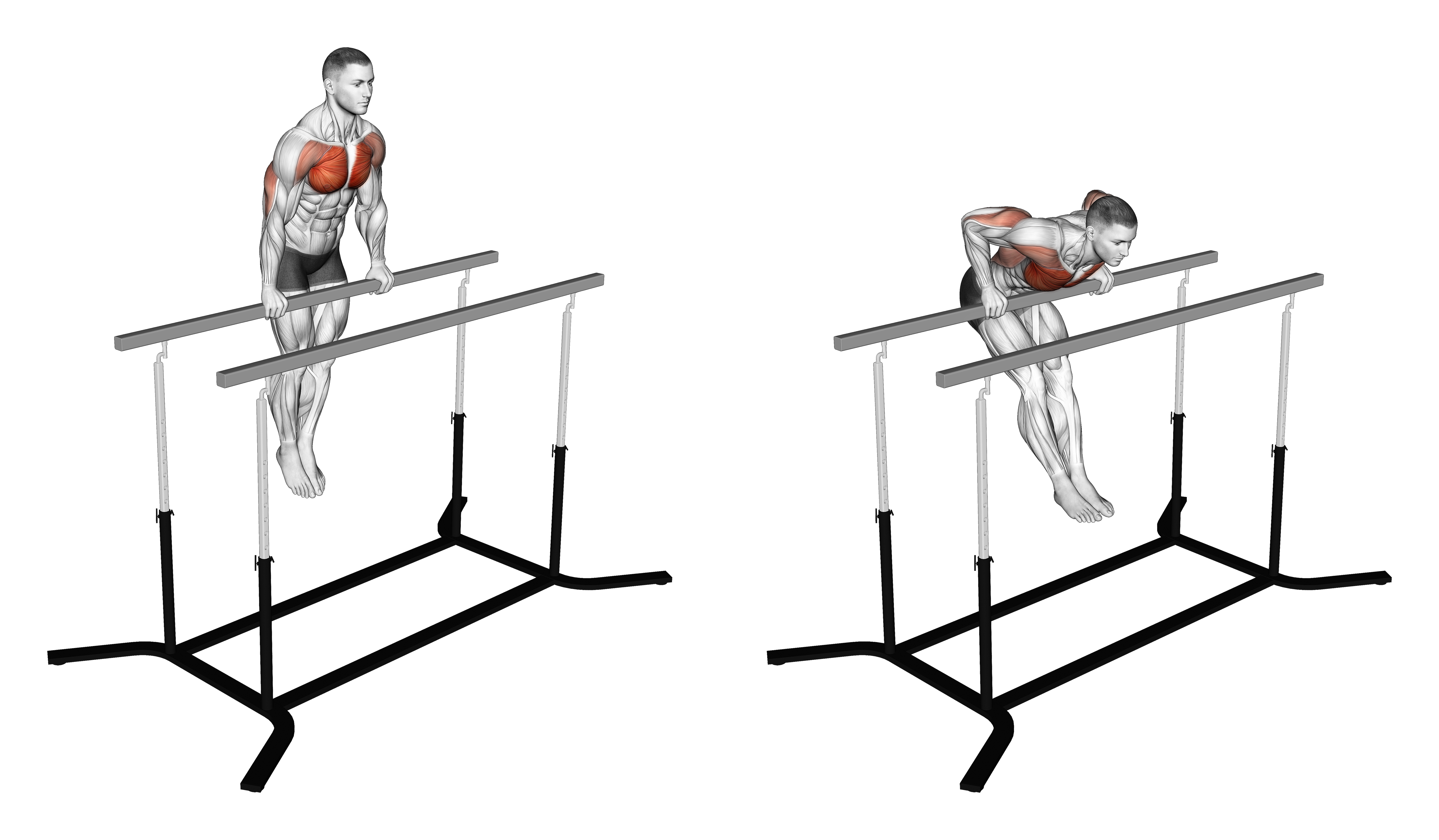 7 Best Dip Variations (with Pictures!) - Inspire US