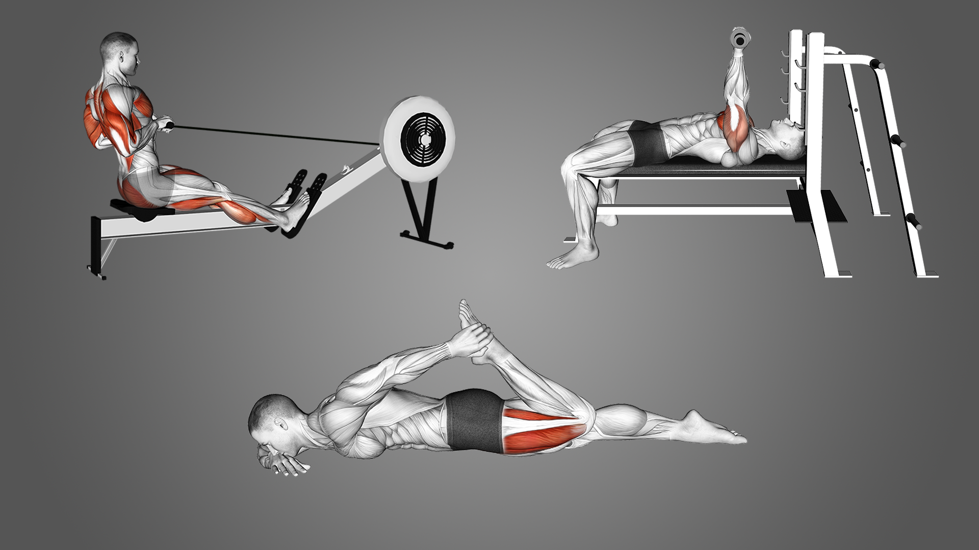 Stretching Before a Workout: With Sample Routine! - Inspire US