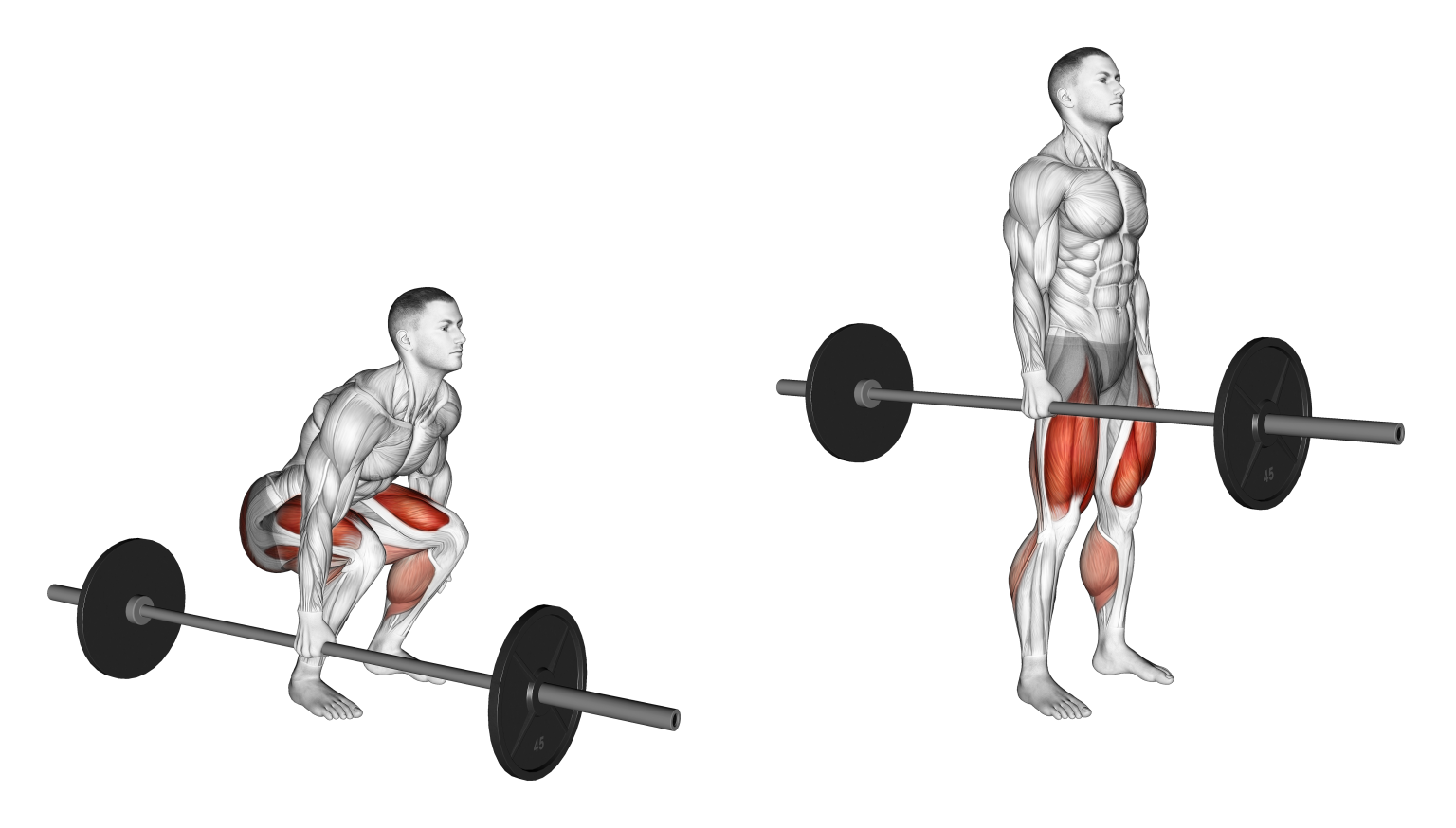 8 Best Types of Deadlift Variations (with Pictures!) - Inspire US