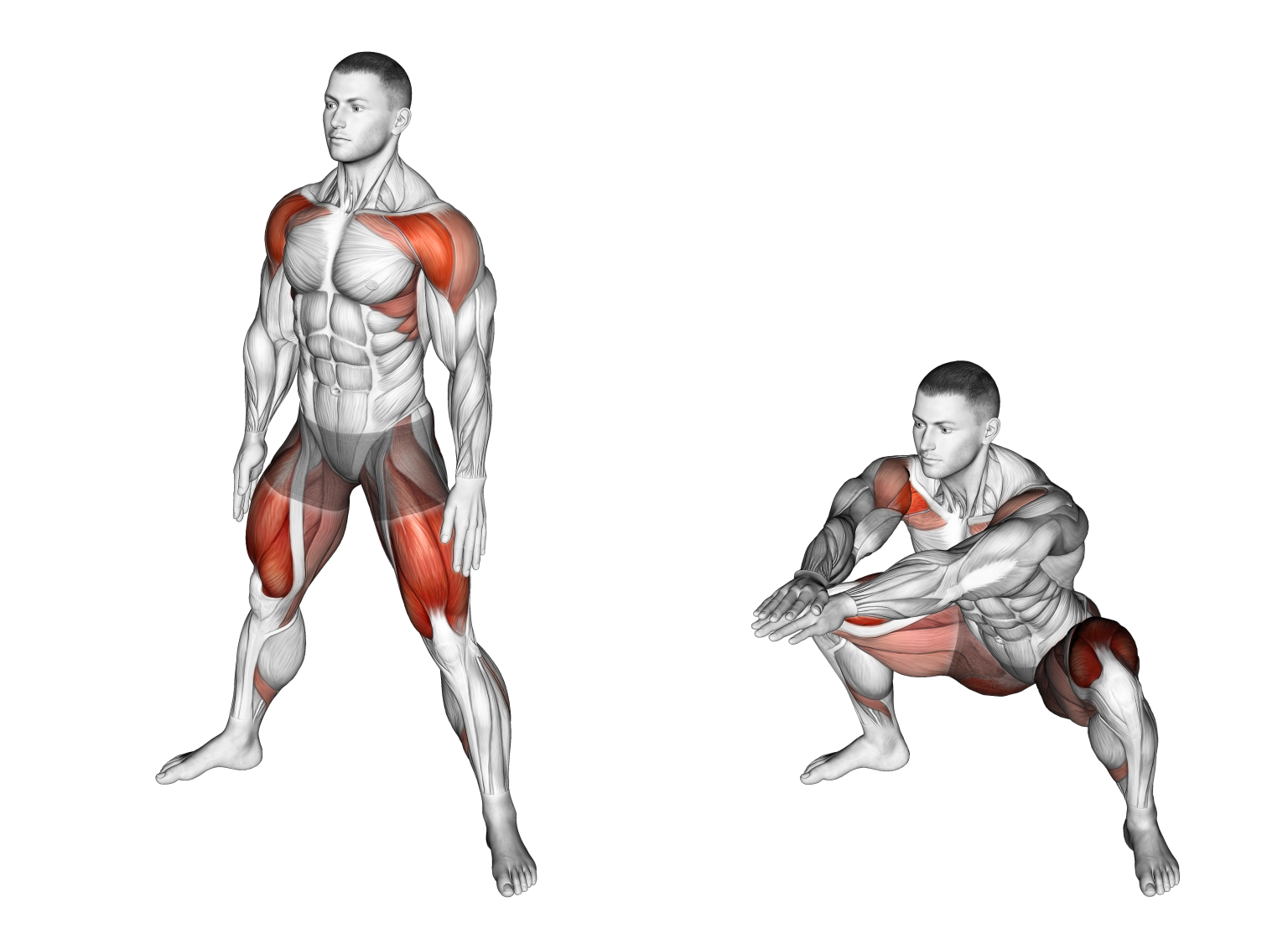 7 Best Bodyweight Squat Variations (with Pictures!) - Inspire US
