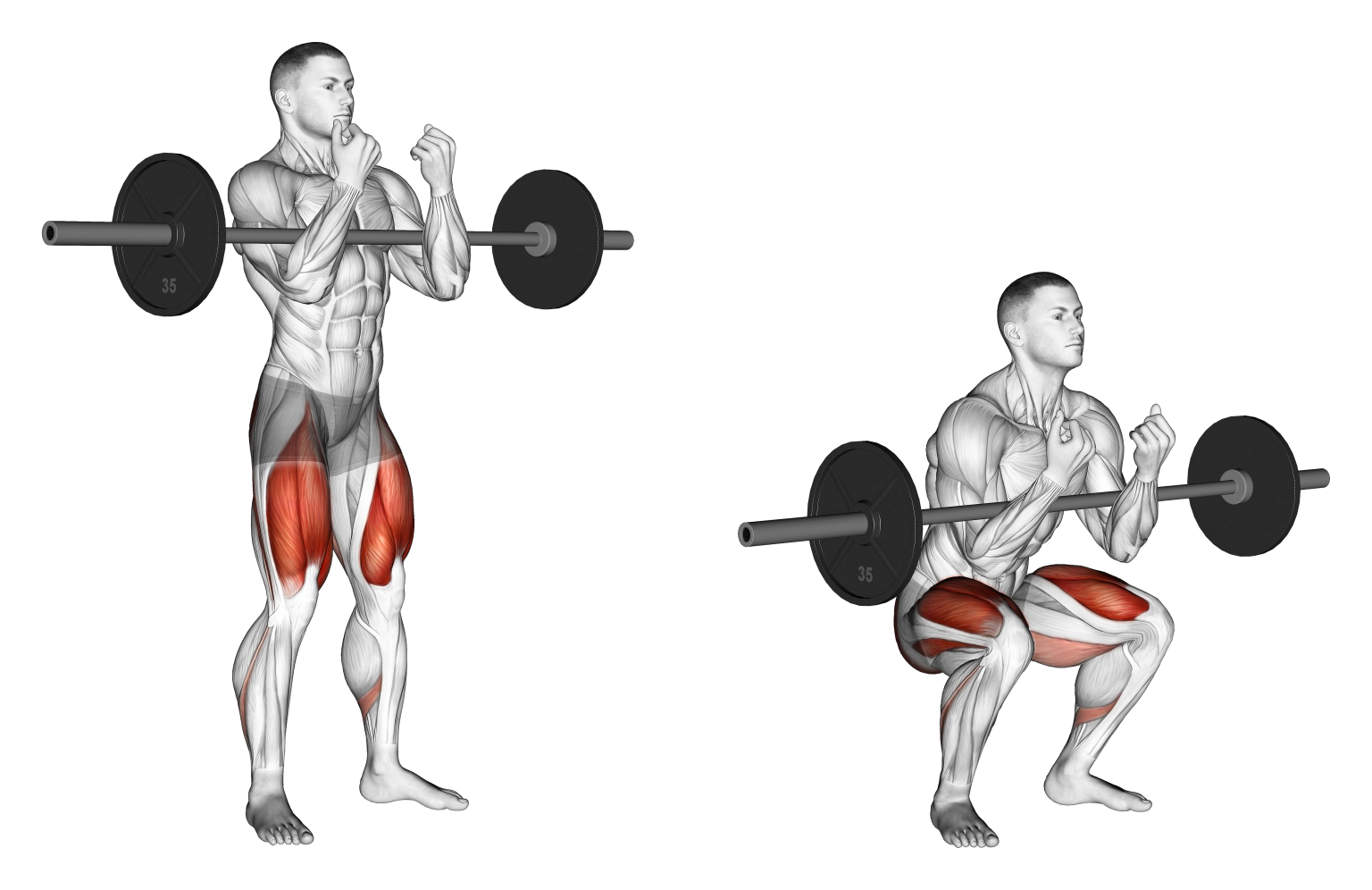8 Best Types of Squat Variations (with Pictures!) - Inspire US