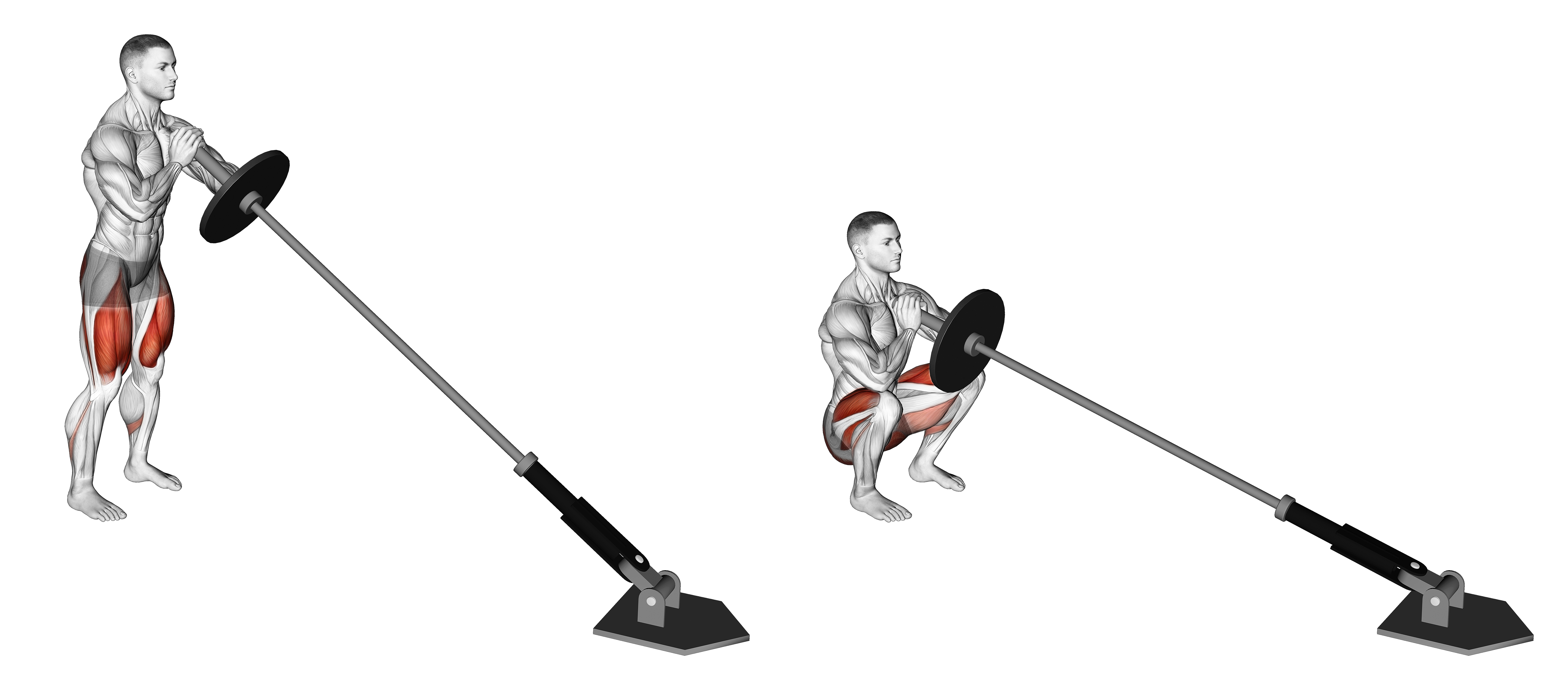 Landmine Squats: Benefits, Muscles Worked, and More - Inspire US