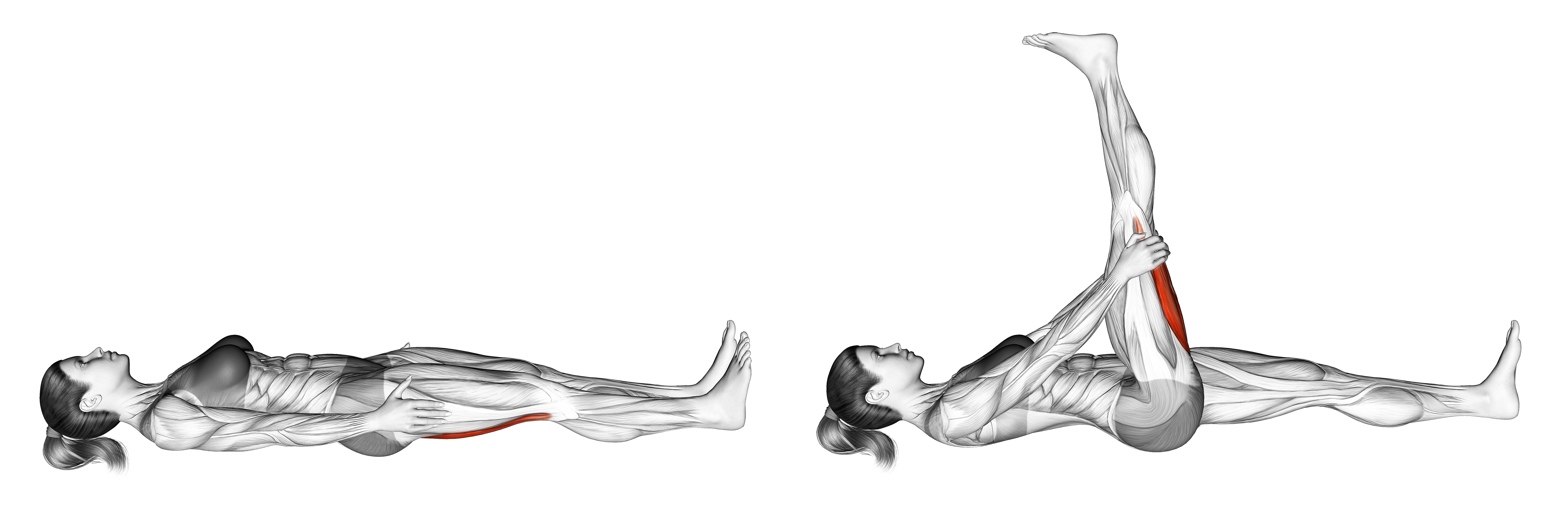 Supine Hamstring Stretch: Benefits, Muscles Targeted, and More - Inspire US