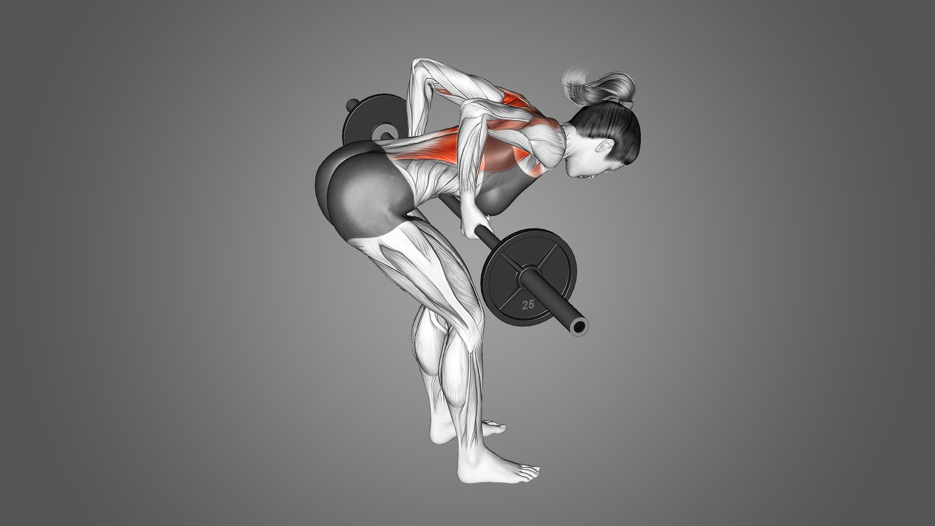 Yates Row: Benefits, Muscles Worked, and More - Inspire US