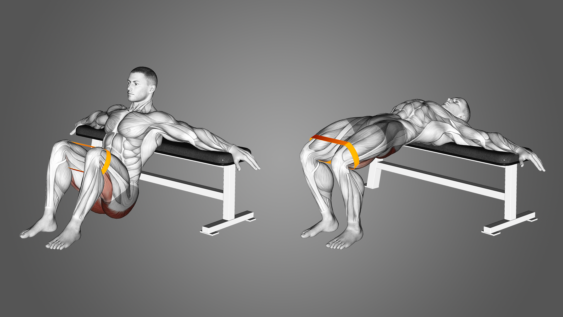 Banded Hip Thrust: Benefits, Muscles Worked, and More - Inspire US