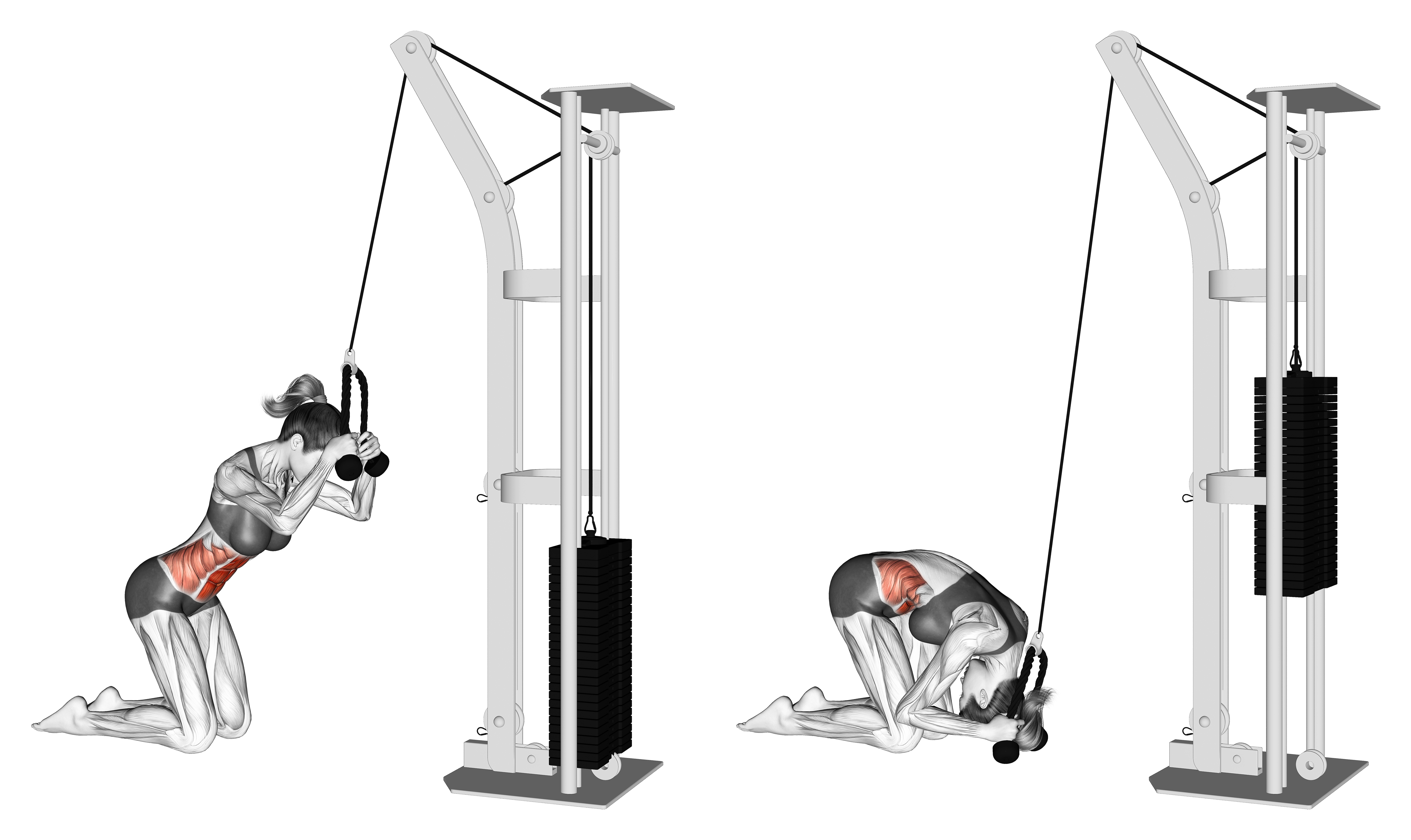 Cable Knee Crunch: Benefits, Muscles Worked, and More - Inspire US