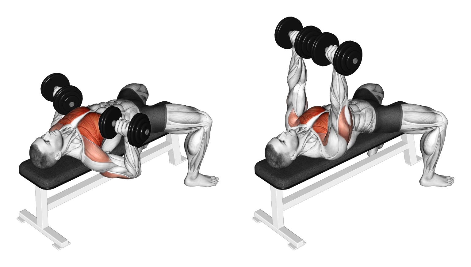 7 Best Bench Press Alternatives: with Pictures! - Inspire US