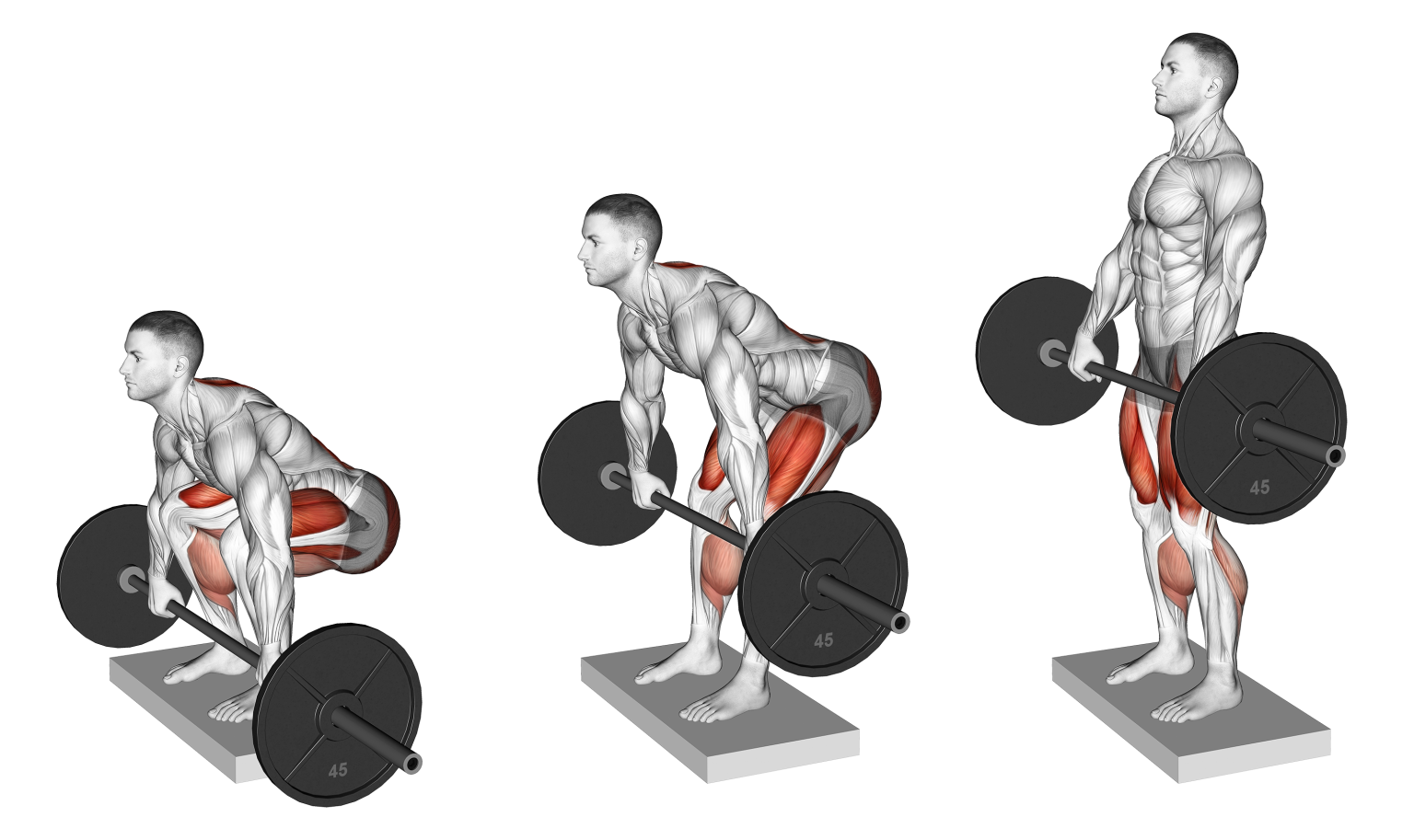 Deficit Deadlift: Benefits, Muscles Worked, and More - Inspire US