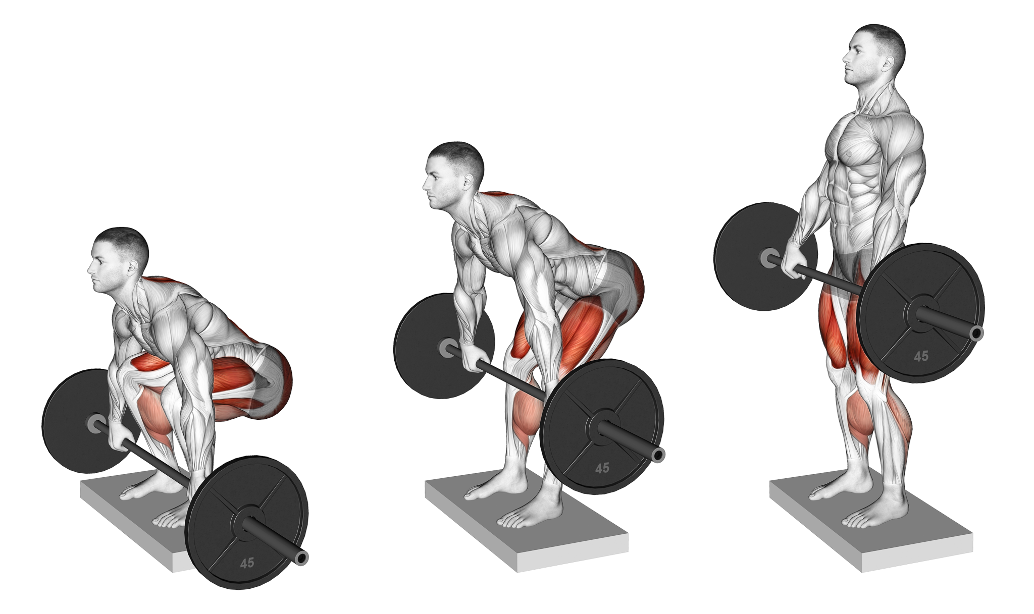 Deficit Deadlift: Benefits, Muscles Worked, and More - Inspire US